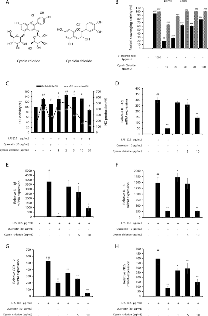 Anti-inflammatory and skin barrier regulation of cyanin chloride in TNF ...