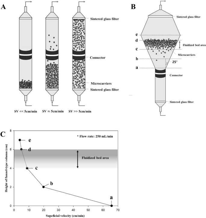 Development of funnel-type fluidized bed reactor system using ...