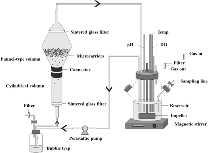 Development of funnel-type fluidized bed reactor system using ...