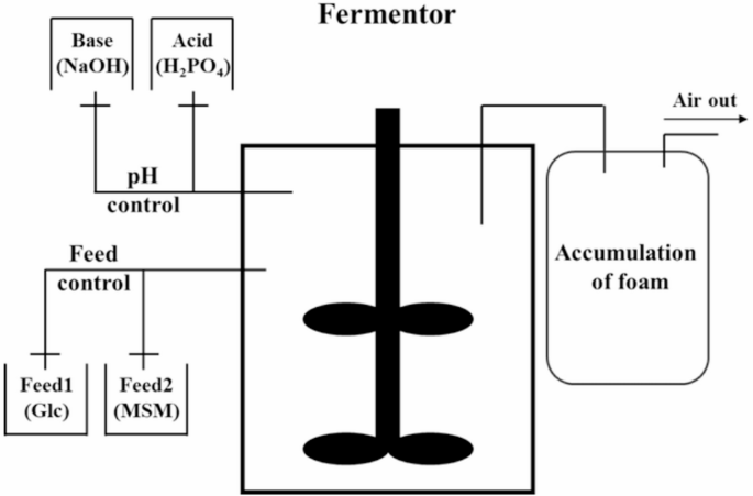 Fed-batch fermentation of citrus Peel using Bacillus subtilis for ...