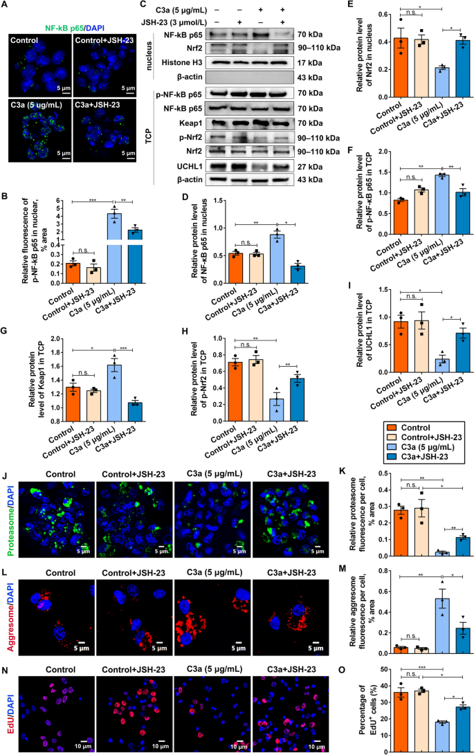 Complement C3a Suppresses Spinal Cord Neural Stem Cell Activation by ...