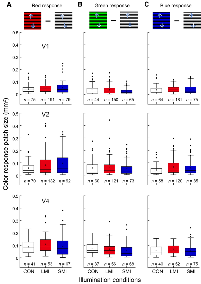 Long-Term Monochromatic Light Exposure Does Not Alter Modular Chromatic ...