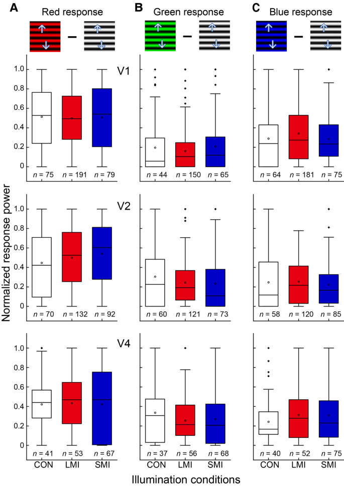 Long-Term Monochromatic Light Exposure Does Not Alter Modular Chromatic ...