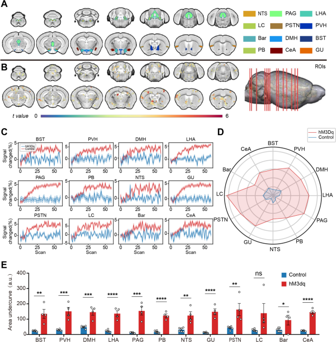 A Non-spinal Neural Circuit for Transmitting Information of Bladder ...