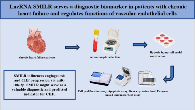 LncRNA SMILR Serves a Diagnostic Biomarker in Patients with Chronic ...