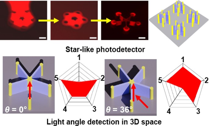 A star-like photodetector for angle-based light sensing in 3D space ...