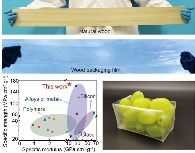 Biodegradable, strong, and clear wood package for plastic alternative ...