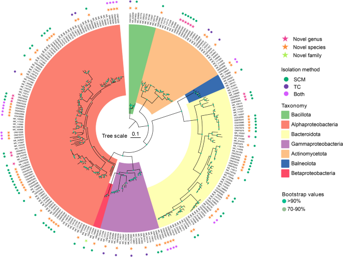 Cultivation of Diverse Novel Marine Bacteria from Deep Ocean Sediment ...