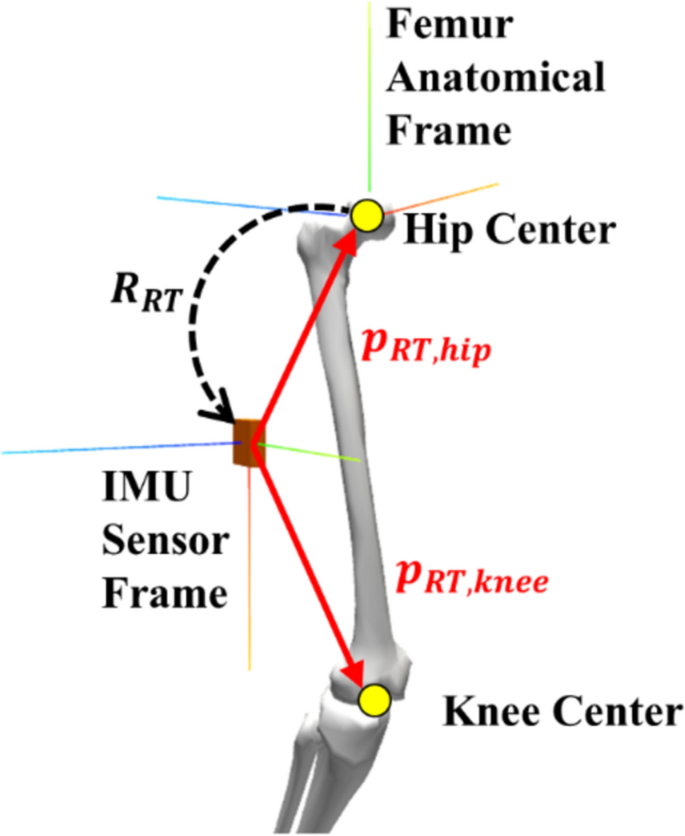 Simulating effects of sensor-to-segment alignment errors on IMU-based ...