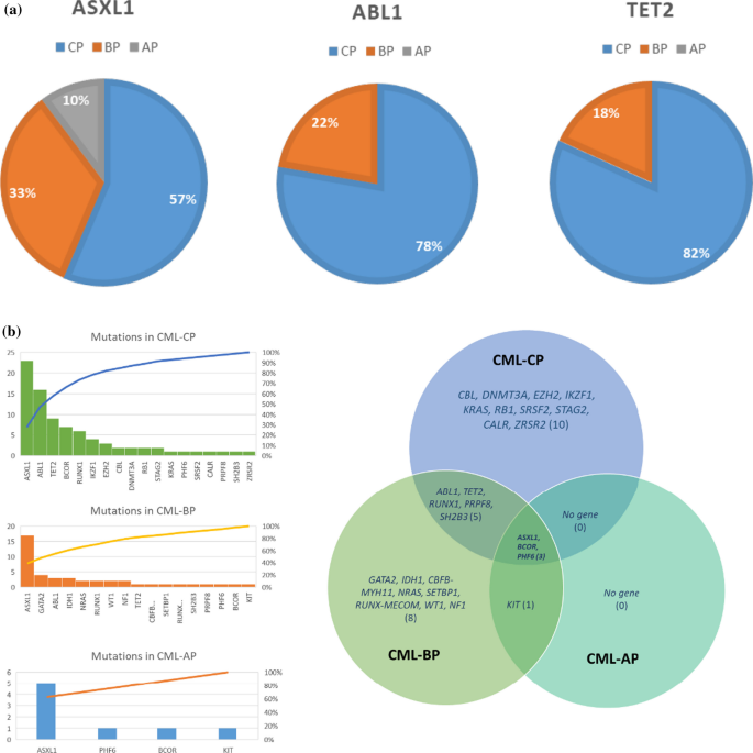 Significance of Somatic Mutation Profiling in CML Beyond BCR-ABL: A Retrospective Study of the ...