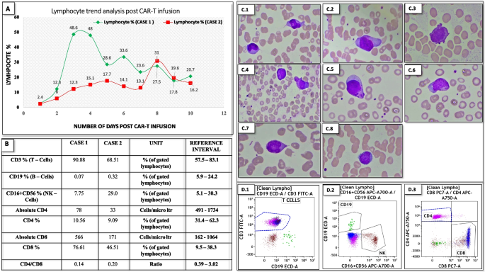Evidence of CAR-T Cell Expansion in Peripheral Blood by Unusual ...