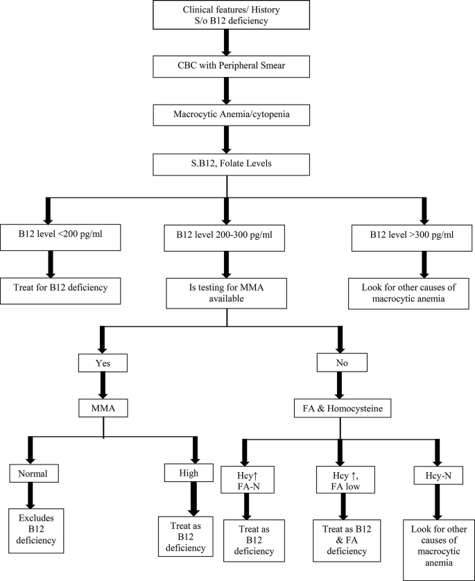 Vitamin B12 Deficiency in Children | Indian Journal of Hematology and Blood Transfusion
