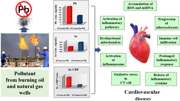 Occupational Exposure to Lead Increases Inflammation that Causes ...