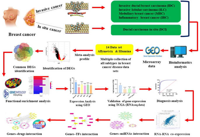 Identification of Genes and Pathways Involved in Breast Cancer Subtypes ...