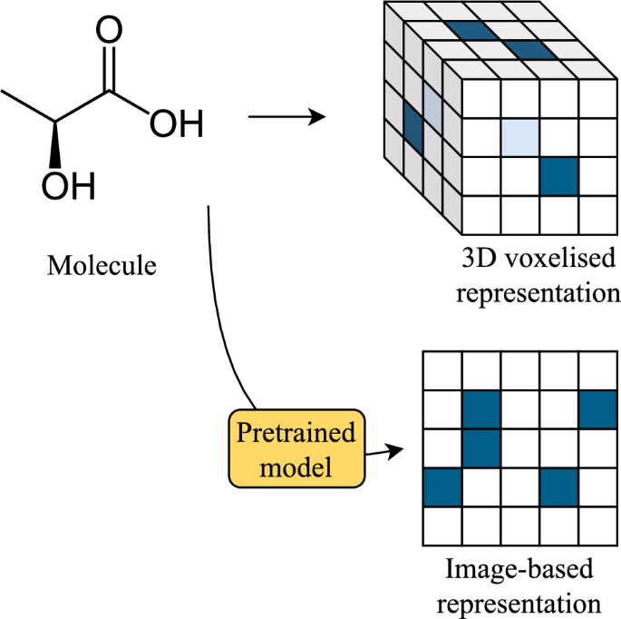 Molecular representations in bio-cheminformatics | Memetic Computing