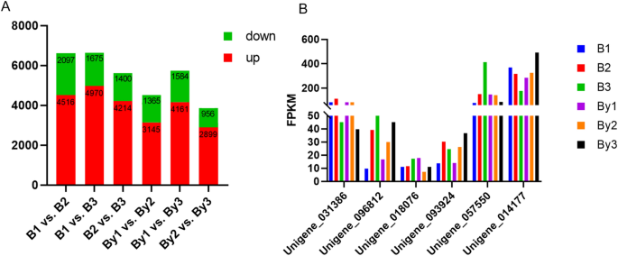 De novo transcriptome profiling reveals the patterns of gene expression ...