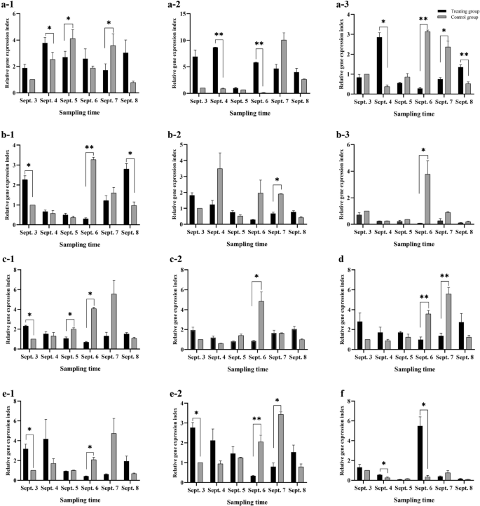 Regulation of gene expression in the secondary metabolic synthesis ...