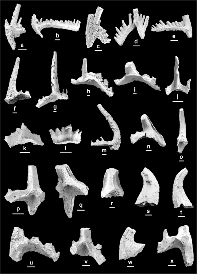 First integrated documentation of Sandbian strata and the Great Hiatus ...