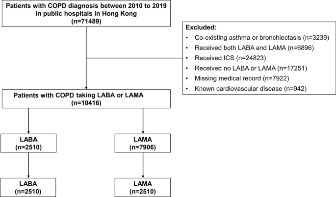 Cardiovascular Outcomes Among Patients with COPD Prescribed with LABA ...