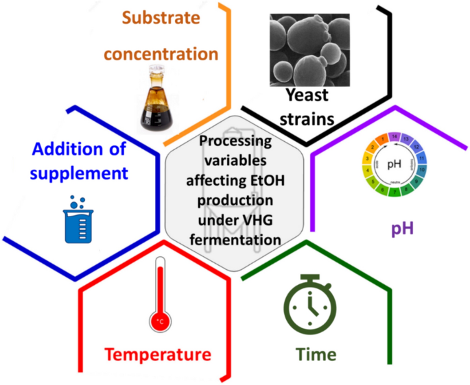 Advancements in High Gravity Fermentation Strategies for Optimizing ...
