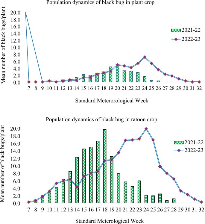 Illustrated Redescription of Sugarcane Black Bug Cavelerius sweeti ...