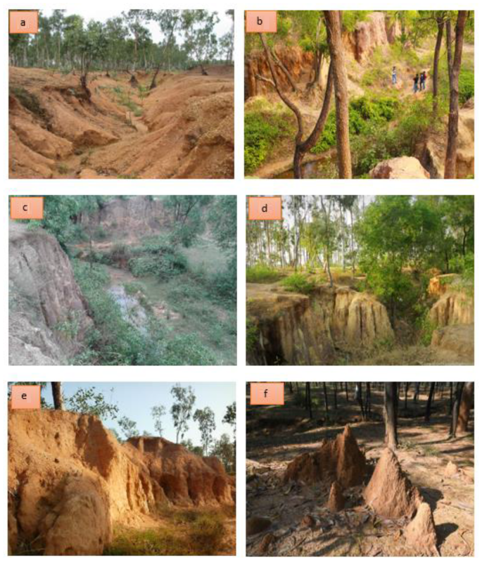 Why Geoheritage Matters in Geoconservation Strategies: A Case Study ...