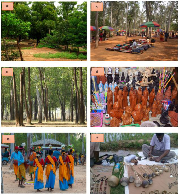 Why Geoheritage Matters in Geoconservation Strategies: A Case Study ...