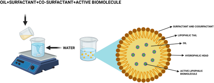 Self-Nanoemulsifying Drug Delivery Systems (SNEDDS): A Thermodynamic ...