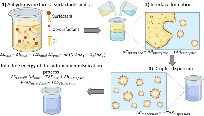 Self-Nanoemulsifying Drug Delivery Systems (SNEDDS): A Thermodynamic ...