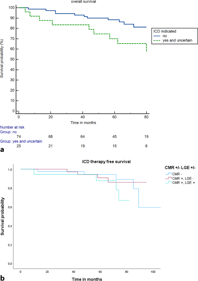 Primary prevention ICD in non-ischaemic cardiomyopathy: an ongoing ...