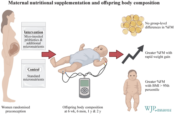 Infant body composition in a randomised trial of a maternal nutritional ...