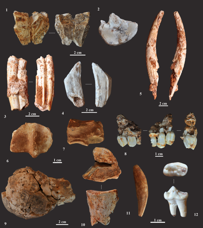 The residential occupation of the Gruta da Aroeira (Almonda, Portugal ...