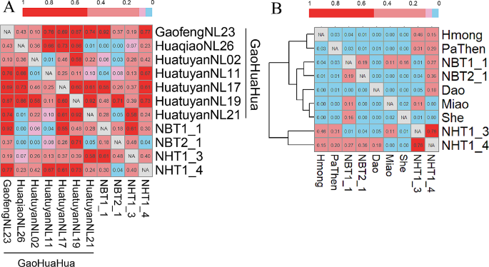 Genetic affinity of cave burial and Hmong-Mien populations in Guangxi ...
