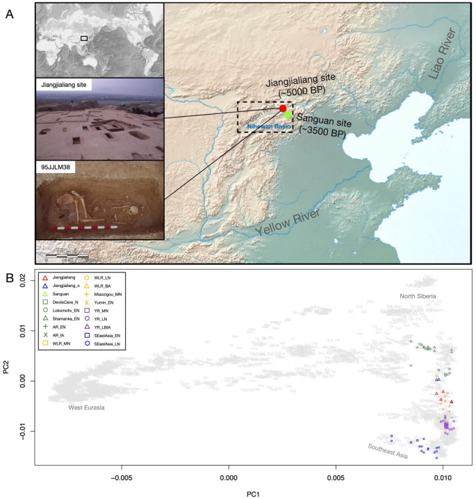 Ancient DNA reveals the complex demographic history of the late ...