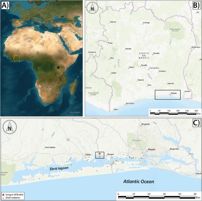 The Songon-M'Brathé shell midden (Ivory Coast): microstratigraphic ...