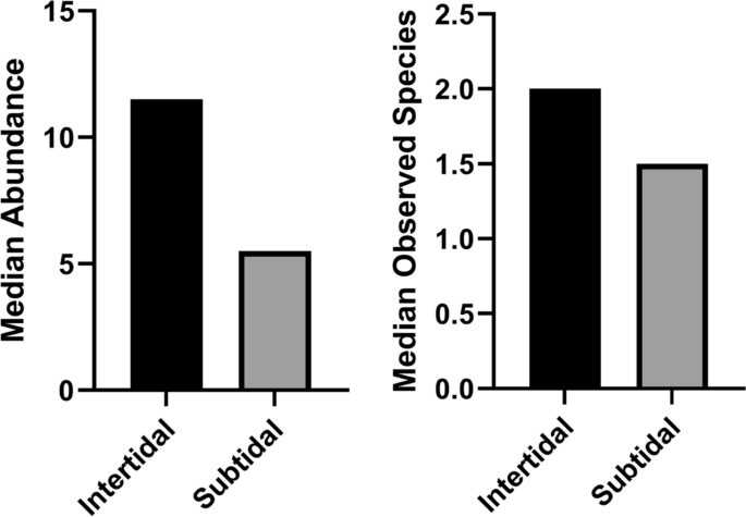 Intertidal and shallow subtidal marine tardigrades from the British ...