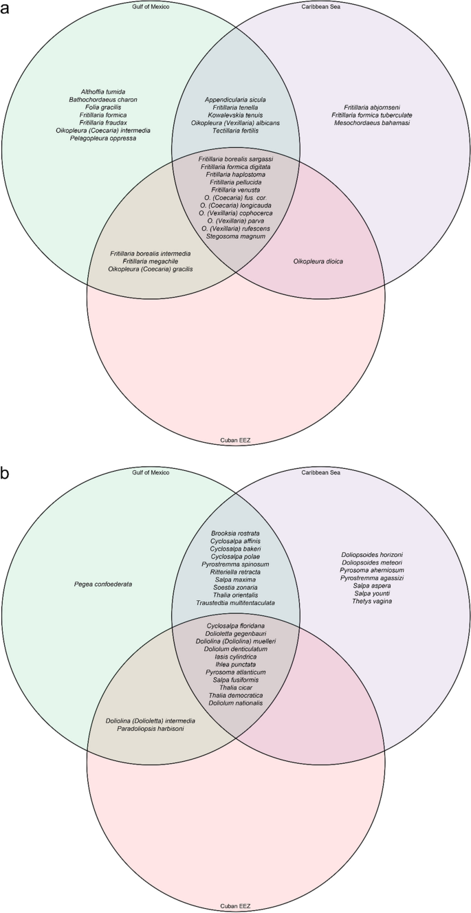 Diversity of pelagic tunicates (Appendicularia and Thaliacea) from Cuba ...