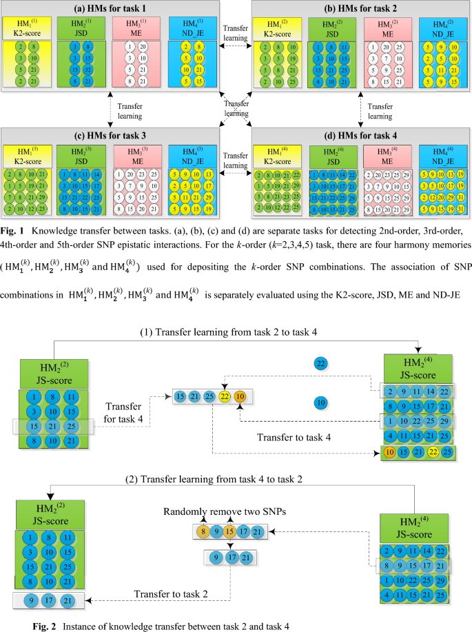 A Novel Detection Method for High-Order SNP Epistatic Interactions Based on Explicit-Encoding ...