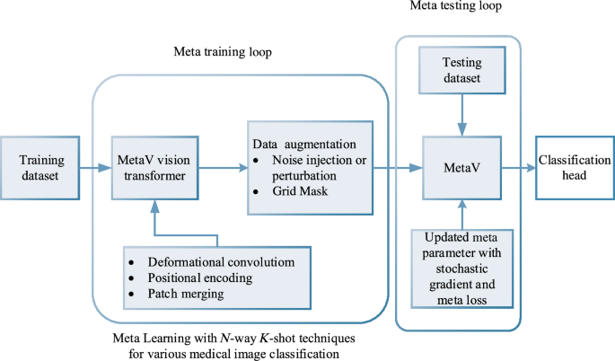 MetaV: A Pioneer in feature Augmented Meta-Learning Based Vision Transformer for Medical Image ...