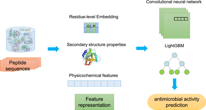 Ensemble Machine Learning and Predicted Properties Promote Antimicrobial Peptide Identification ...