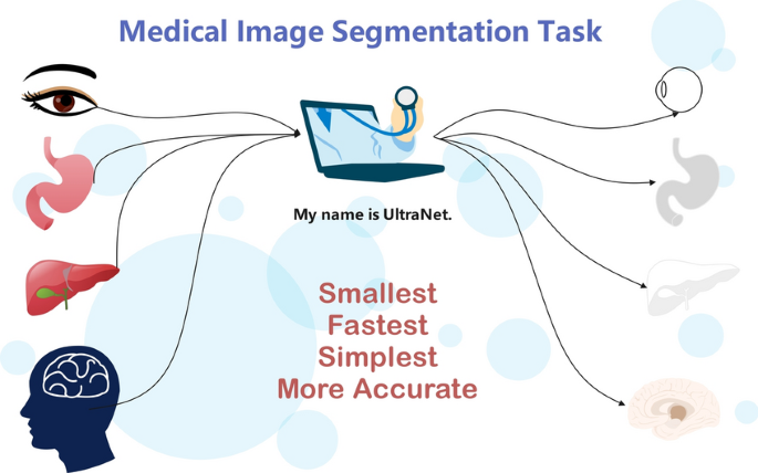 UltraNet: Unleashing the Power of Simplicity for Accurate Medical Image Segmentation ...