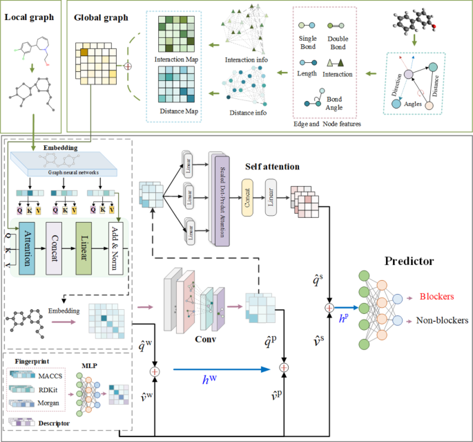 hERG-MFFGNN: An Explainable Deep Learning Model for Predicting Cardiotoxicity Using Multi ...