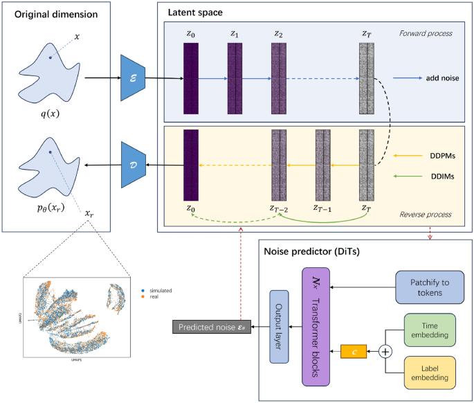 DiTSim: A Diffusion-Transformers Based Single-Cell ATAC-seq Data Simulator | Interdisciplinary ...