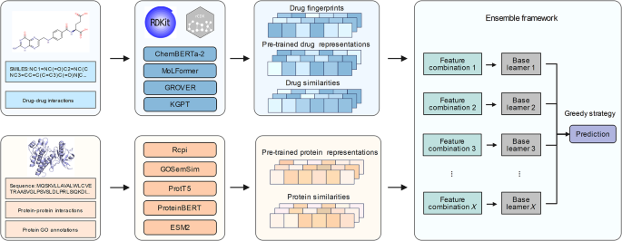 A Scalable and Robust Ensemble Deep Learning Method for Predicting Drug ...