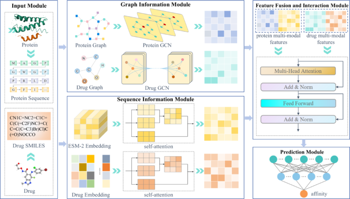 GSF-DTA: An Innovative Graph-Sequence Fusion Framework for Drug-Target ...