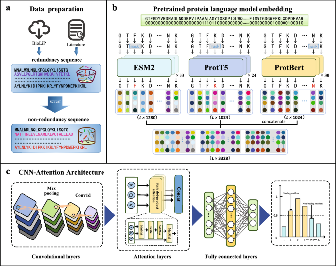 Protein-DNA Binding Sites Prediction via Integrating Pretrained Large ...