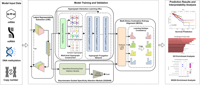 Subtype-HM: A Novel Cancer Subtype Identification Method Based on ...