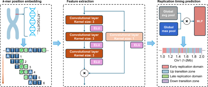 ResNet-Powered Multi-Class Identification of Sequence Patterns for ...