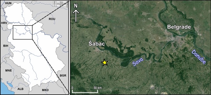 A new papionin molar (Primates, Cercopithecidae) from the Pliocene of ...