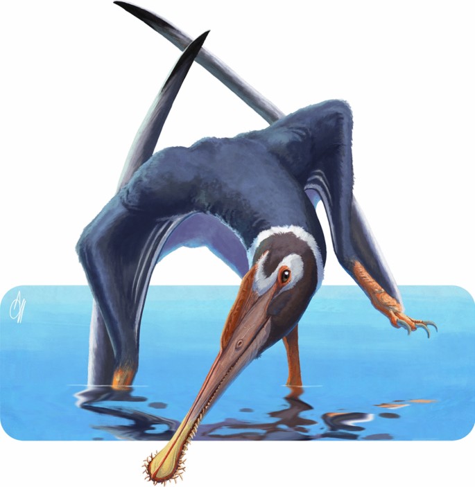 A new species and the earliest occurrence of the Gnathosaurinae ...